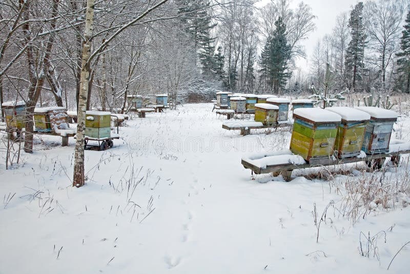 Apiary stock photo. Image of snowdrift, winter, dwelling - 23767094
