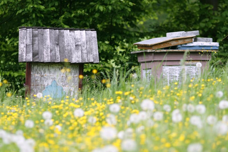 Apiary stock image. Image of apiary, trees, village, house - 7958553