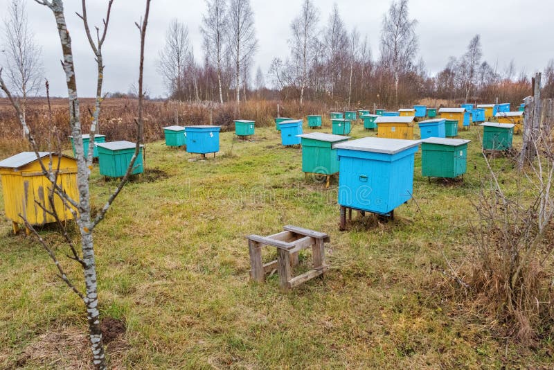 Apiary stock photo. Image of blue, fall, bienenhaus, farmer - 46898924