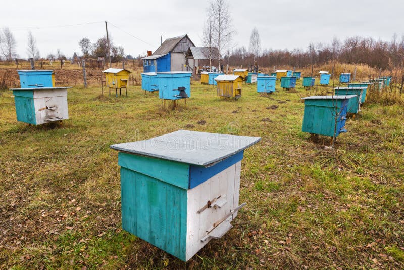 Apiary. editorial photography. Image of hive, apiarist - 46899587
