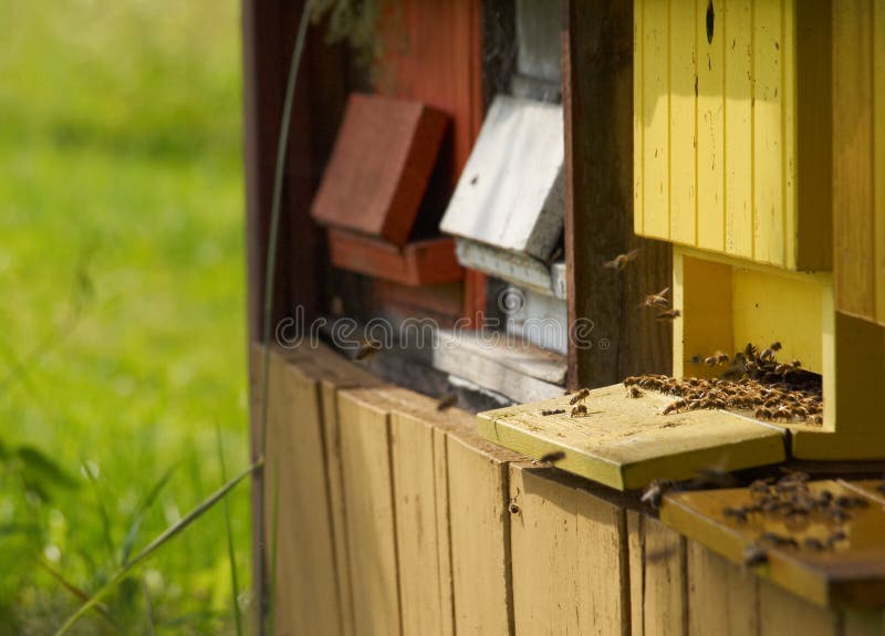 Beehive Inlet Stock Photos - Free & Royalty-Free Stock Photos from ...