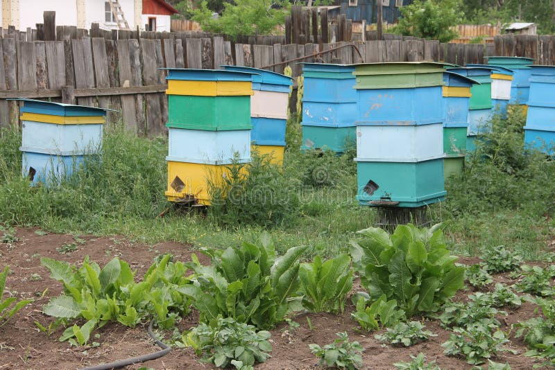 Apiary with Colorful Beehives Under Trees in French Provence Stock ...