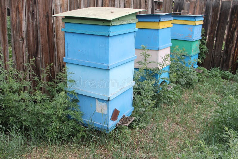 Apiary with Colorful Beehives Stock Photo - Image of apiary, artificial ...