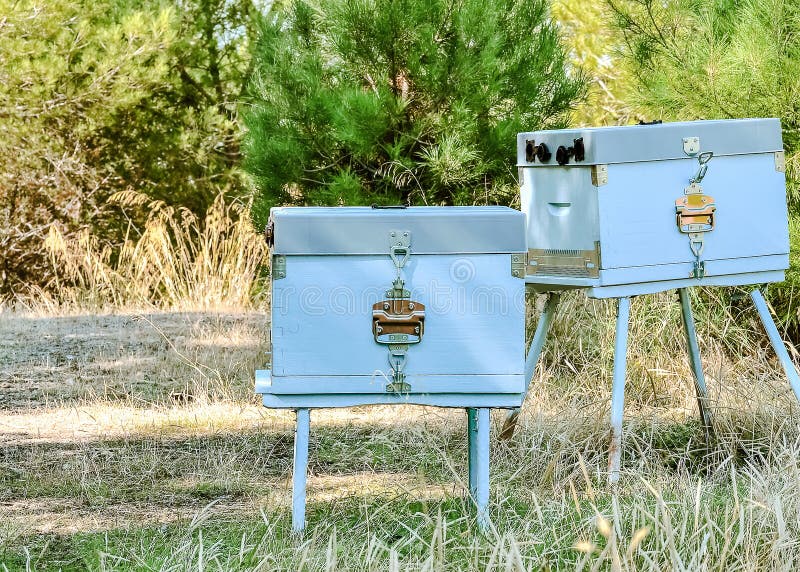 Apiary in forest stock image. Image of beekeeper, protection - 45725011
