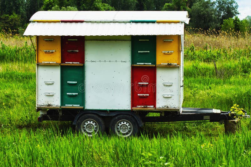 Trailer hive stock photo. Image of summer, outdoors, swarm - 43035914