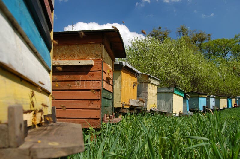 Old house and apiary stock photo. Image of dandelion, bulgaria - 1337232