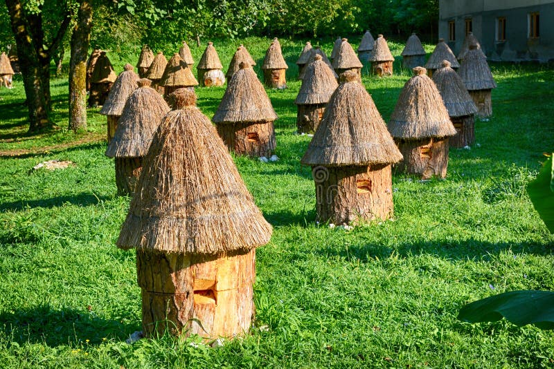 Apiary stock photo. Image of meadow, keeping, apiary - 43783616