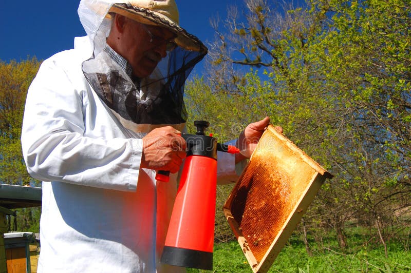 Apicultor em seu apiary imagem de stock. Imagem de apiarist - 19420271