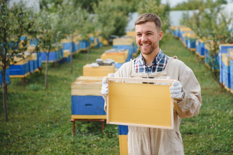 Apicultor No Trabalho Abelhas Em Voo. Foto de Stock - Imagem de grama ...