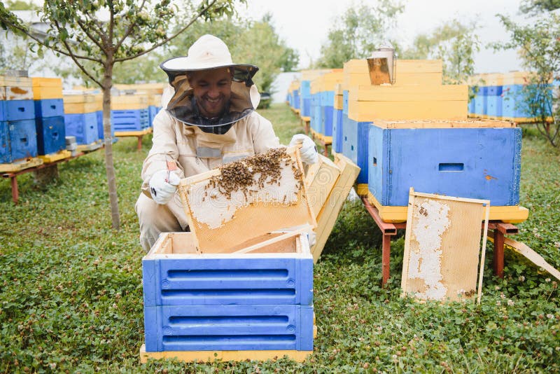Apicultor No Trabalho Abelhas Em Voo. Imagem de Stock - Imagem de verde ...