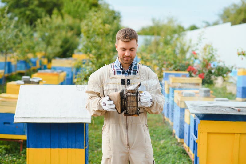 Apicultor No Trabalho Abelhas Em Voo. Imagem de Stock - Imagem de ...