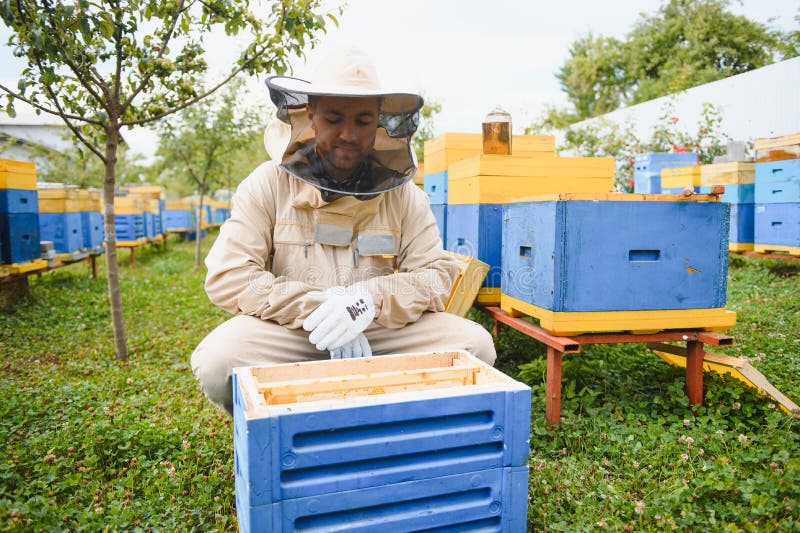 Apicultor No Trabalho Abelhas Em Voo. Foto de Stock - Imagem de fazenda ...
