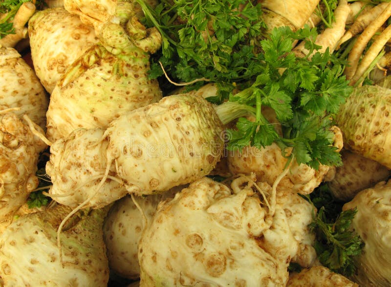 Apio foto de archivo. Imagen de culinario, color, fresco - 10666790