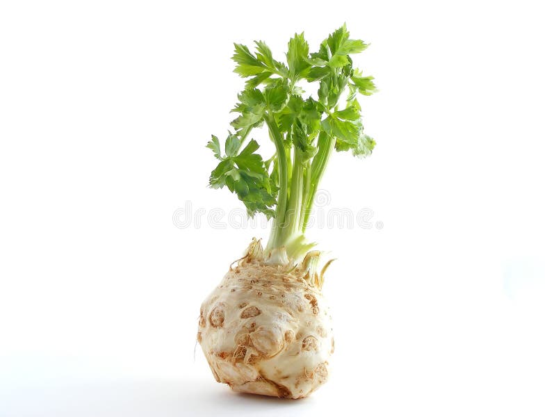 Apio imagen de archivo. Imagen de apio, completo, minorista - 11892139