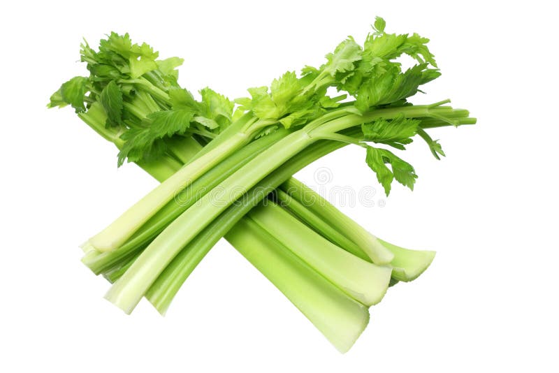Apio foto de archivo. Imagen de fresco, hierba, crudo - 26407636