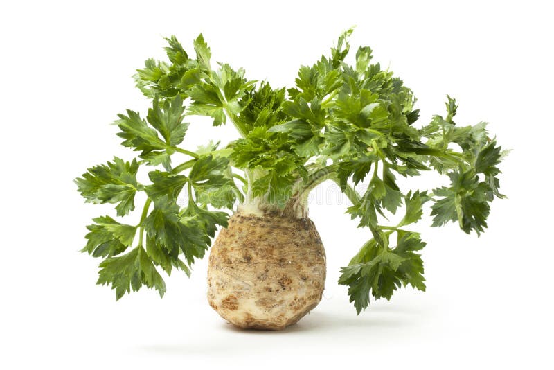 Raíz de apio con las hojas foto de archivo. Imagen de ingrediente ...