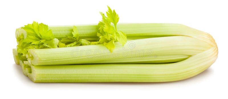 Solo tallo del apio imagen de archivo. Imagen de dieting - 38402503
