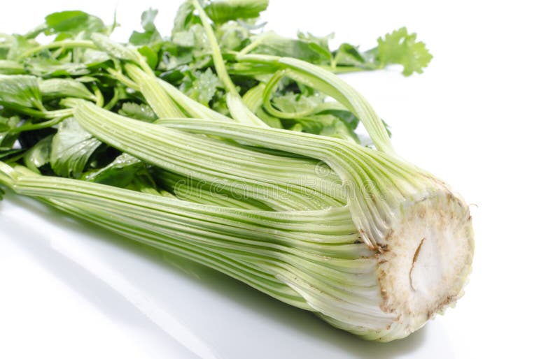 Hojas verdes del apio foto de archivo. Imagen de hojas - 57057742