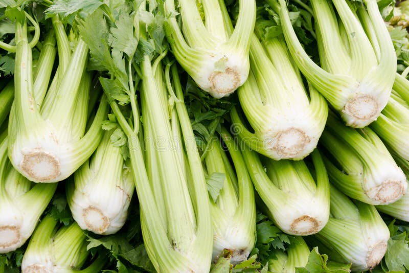 Apio Verde En La Visualización Imagen de archivo - Imagen de crudo ...