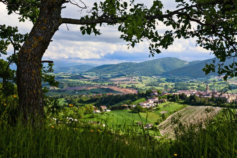 Apiro, Italy stock photo. Image of agriculture, marche - 93728360