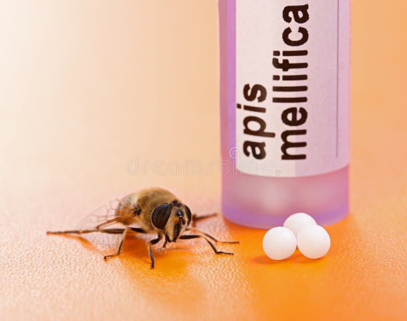 Apis Mellifica Homeopathic Medication and Bee Stock Image - Image of ...