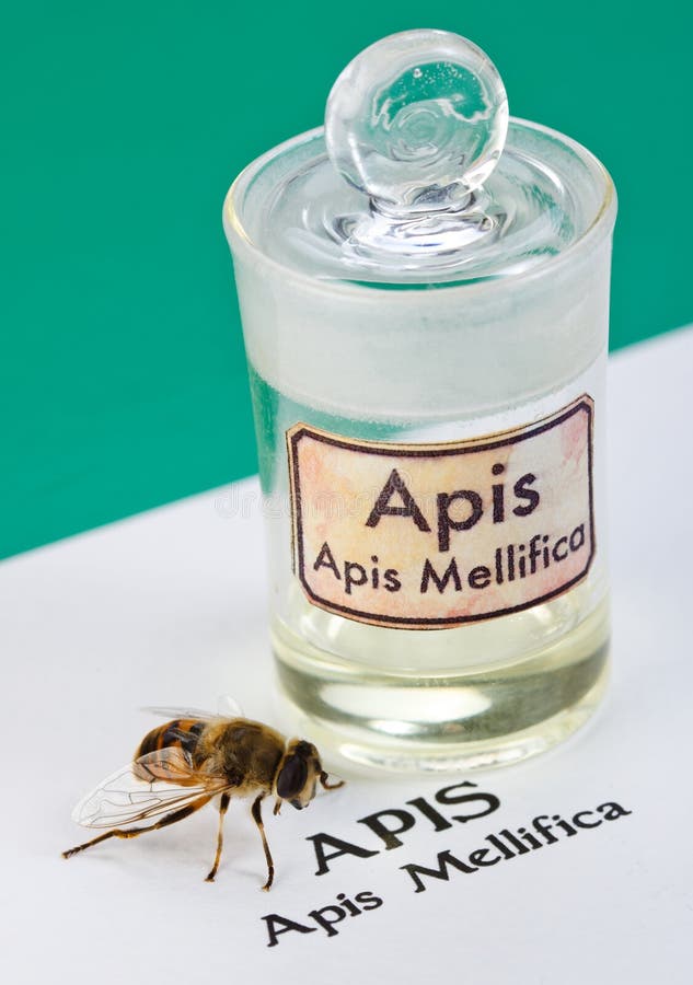 Apis Mellifica Homeopathic Medication and Bee Stock Photo - Image of ...