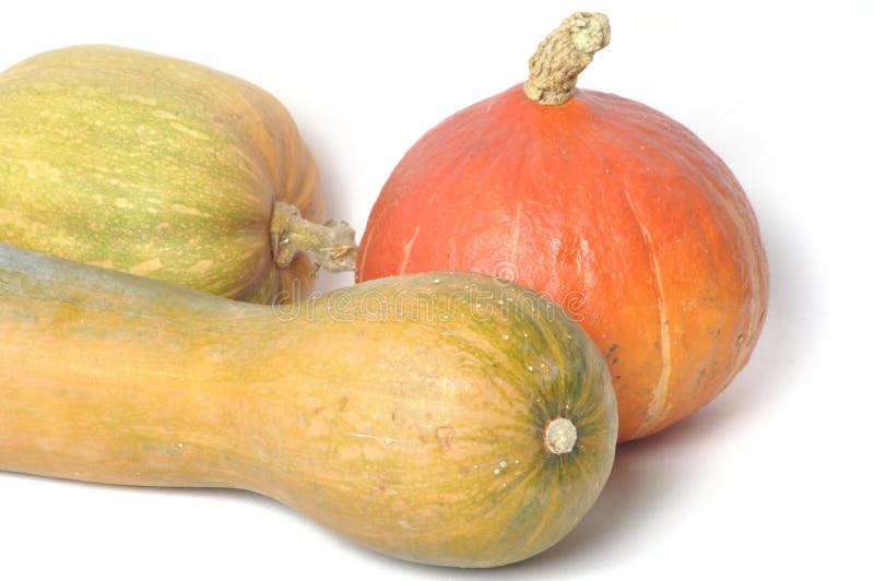 Aplastar Sobre Un Fondo Blanco Imagen de archivo - Imagen de cocina ...