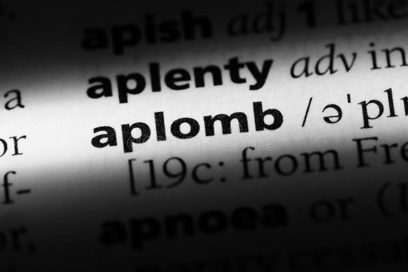 Aplomb stock image. Image of aplomb, closeup, english - 114408537