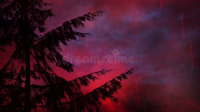 Acid Rain on Dead Forest Pollution Scene Stock Video - Video of acid ...