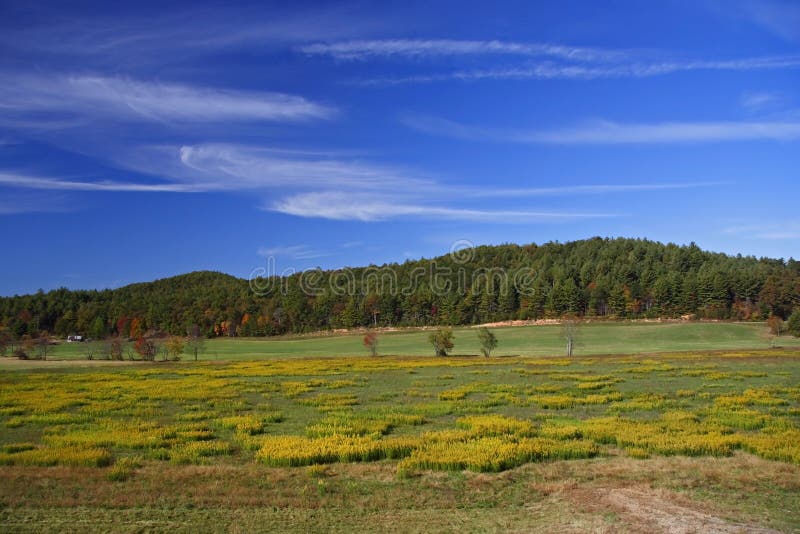 Appalachian Foothills stock photo. Image of forest, field - 16644092