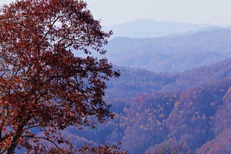 Appalachian Mountains at Sunset and Autumn Foliage Stock Photo - Image ...