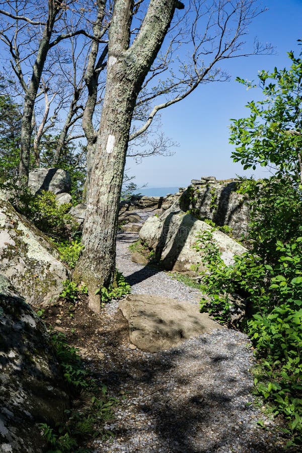 Appalachian Trail at Thunder Ridge Overlook Stock Image - Image of ...