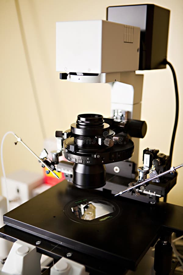 Apparatuur De in Vitro Van Het Laboratorium Stock Foto - Image of ...