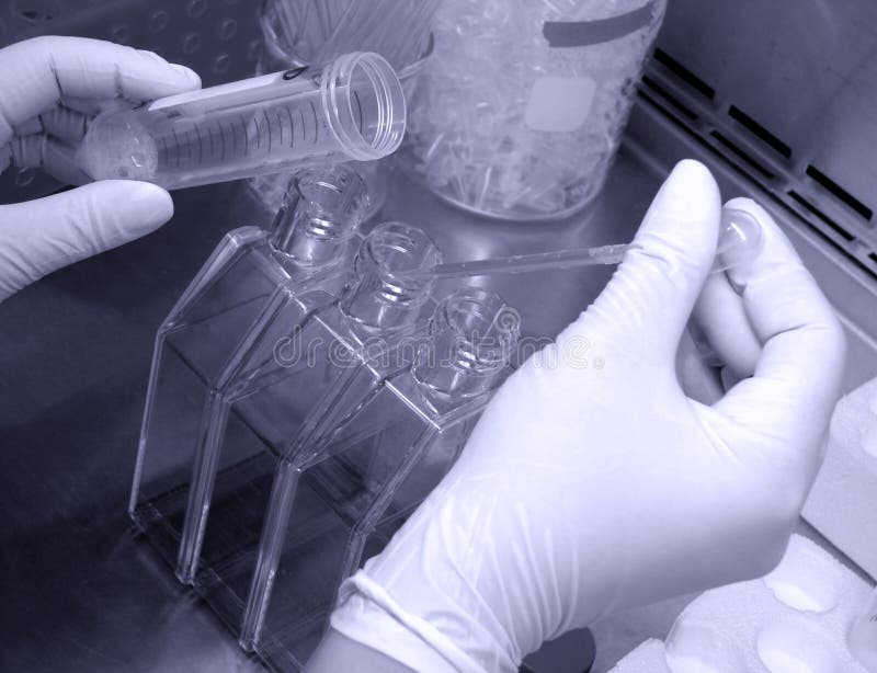 Apparatuur in Een Laboratorium Van De Wetenschap Stock Afbeelding ...