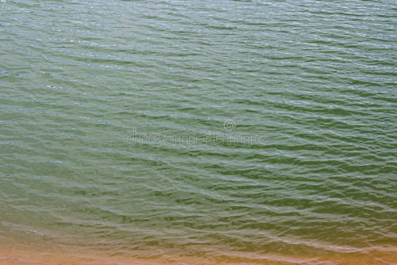 The Appealing View of a Pond with Ripples on the Surface of the Water ...