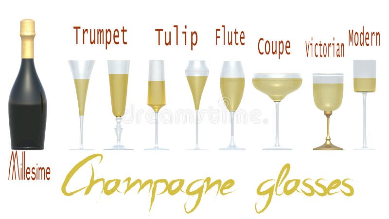 Appearance and Names of the Main Types of Champagne Glasses Stock ...