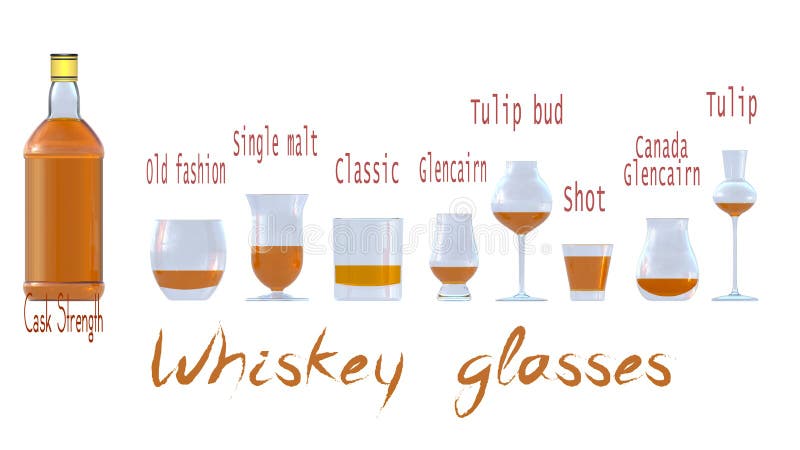 Appearance and Names of the Main Types of Whisky Glasses Stock ...