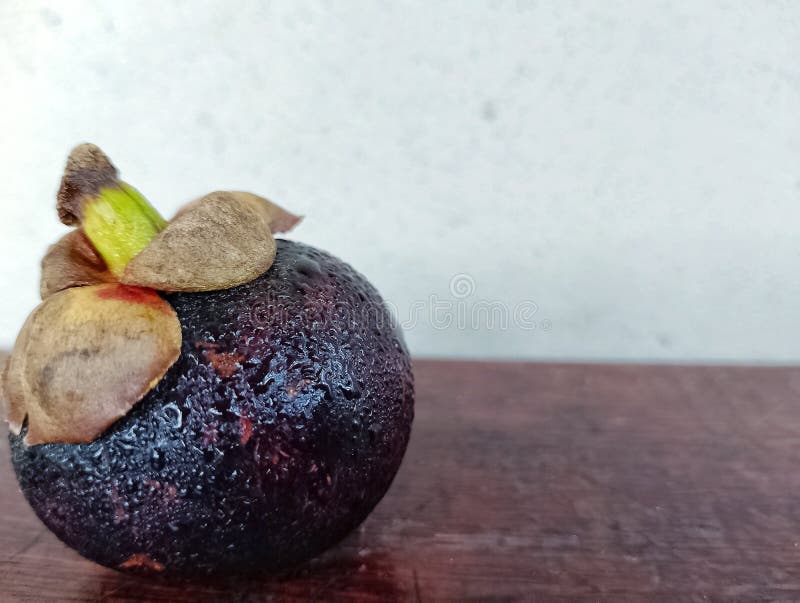 Mangis Object Stock Photos - Free & Royalty-Free Stock Photos from ...