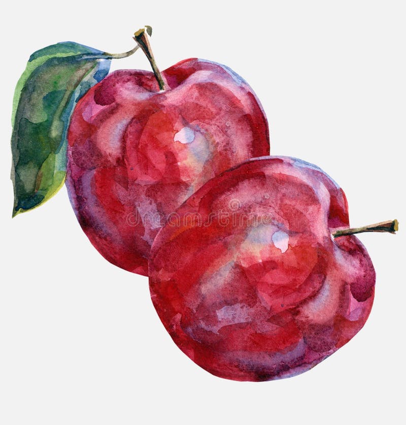 Appel twee stock illustratie. Illustration of gastronomisch - 46464896