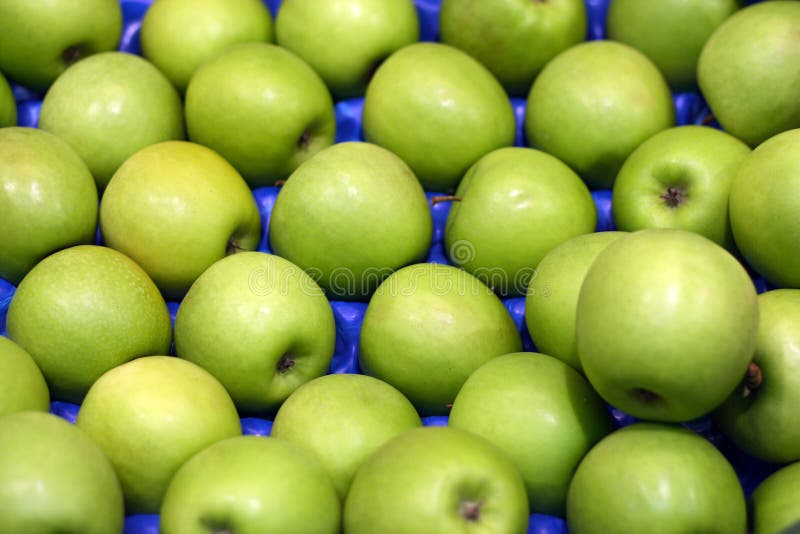 Appels stock afbeelding. Image of voedsel, vrucht, afgerond - 5342667