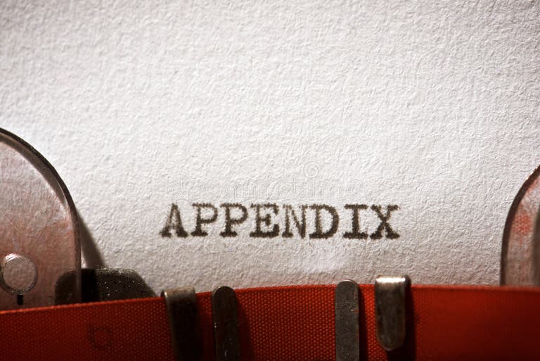 Appendix concept view stock photo. Image of codicil - 261588672
