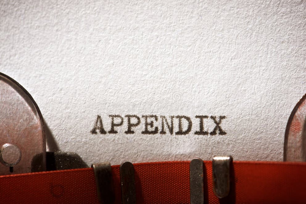 Appendix concept view stock photo. Image of codicil - 261588672