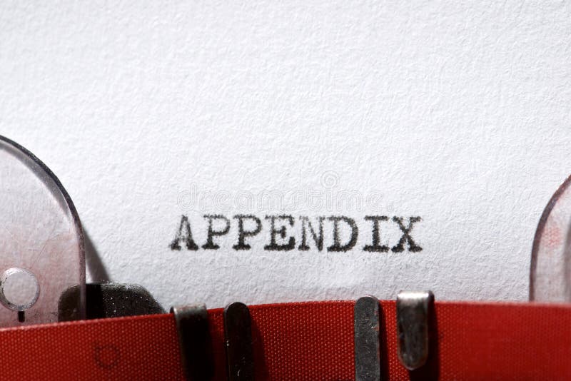 Appendix concept view stock photo. Image of addendum - 261588674