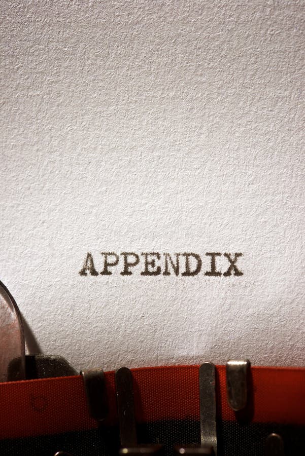 Appendix concept view stock image. Image of document - 261588689