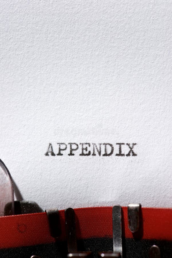 Appendix concept view stock image. Image of lettering - 261588691