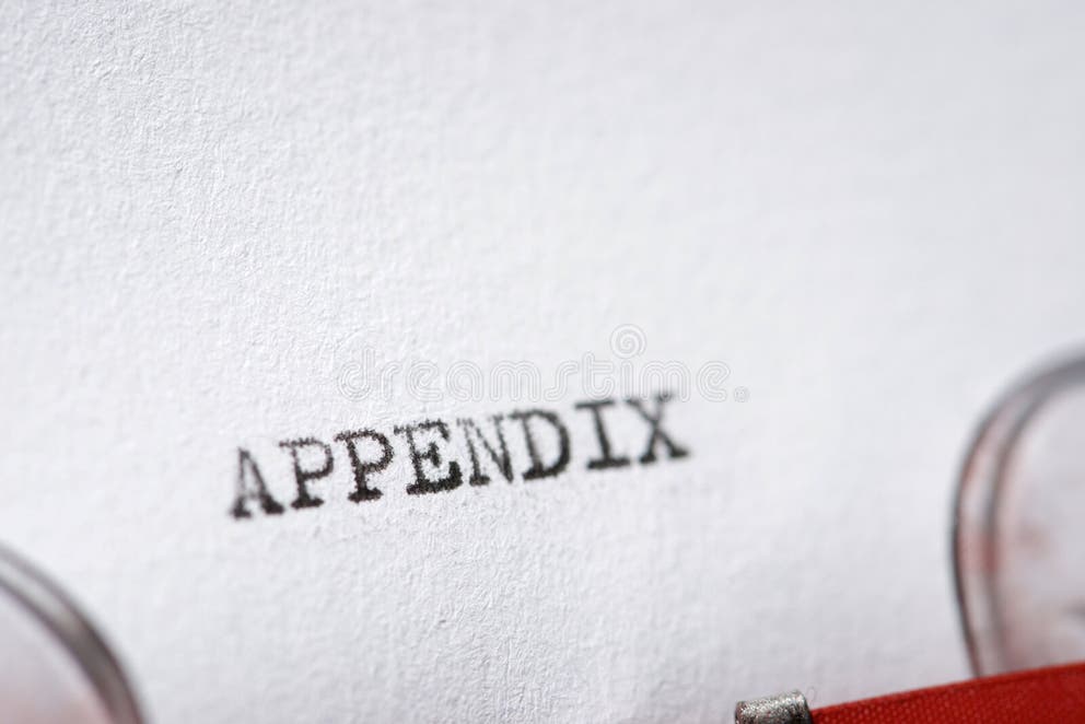 Appendix concept view stock photo. Image of afterword - 261588702