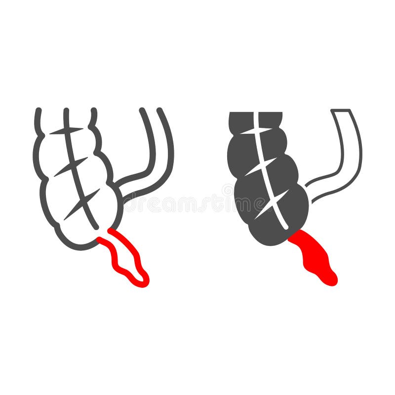 Appendix is Inflamed Line and Solid Icon, Body Pain Concept, Acute ...