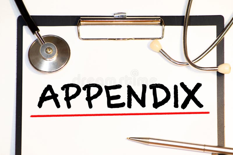 Appendix Book Definition