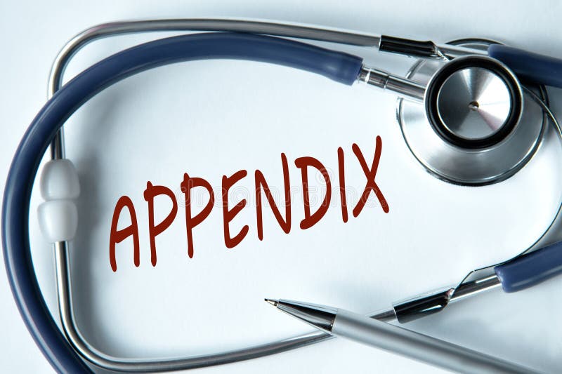172 Appendix Word Stock Photos - Free & Royalty-Free Stock Photos from ...