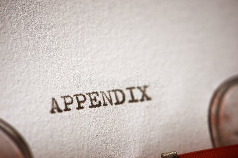 Appendix concept view stock photo. Image of detail, postscript - 261588704